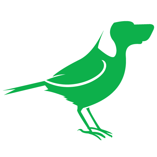 Cloud Connect – BirdDog