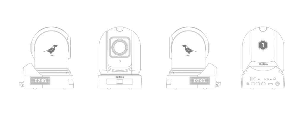 P240 – BirdDog