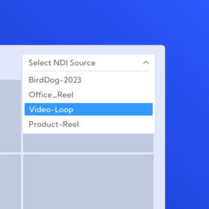 VideoWall – BirdDog