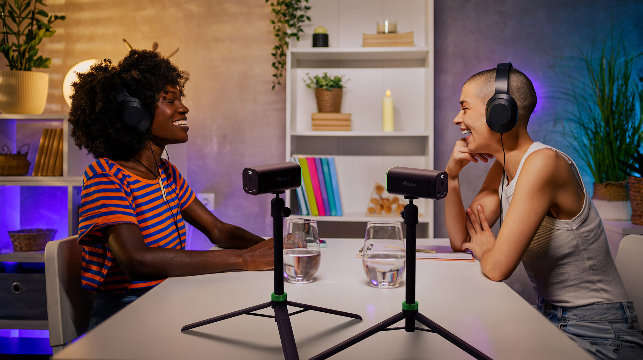 MAKI Live – BirdDog