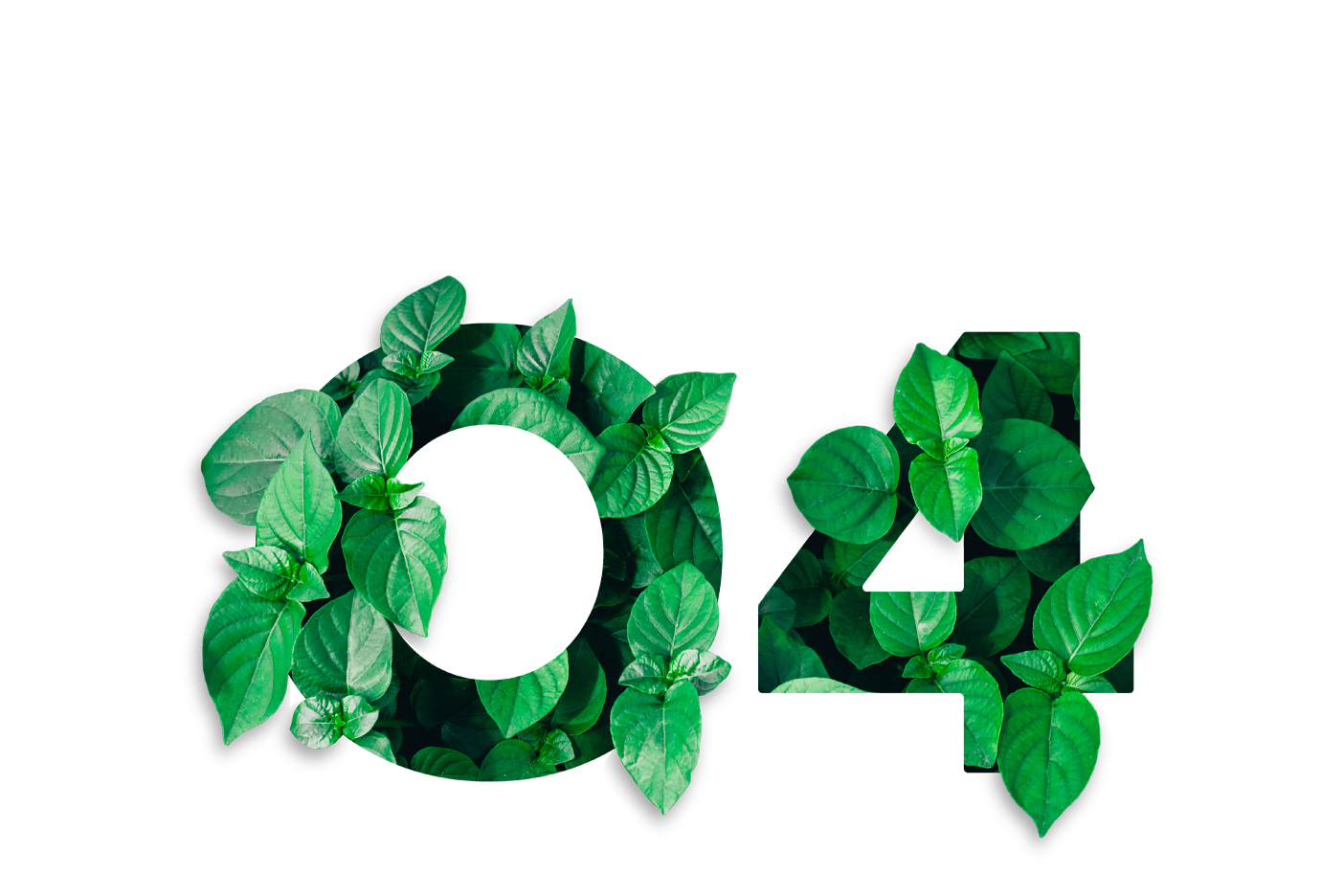 O4 – BirdDog