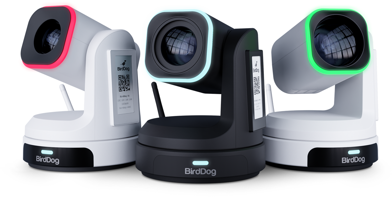 X1 Landing page – BirdDog